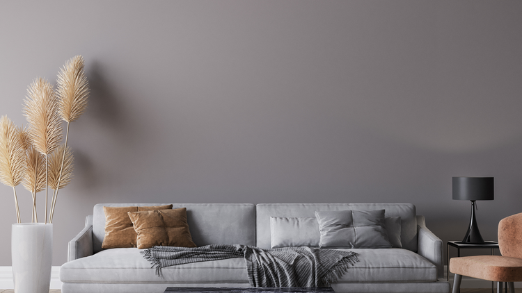 Bright Corners: Stylish Decor, Ceiling Fans & Lamps